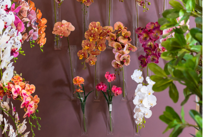 Showroom | Bela Flor