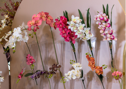 Showroom | Bela Flor