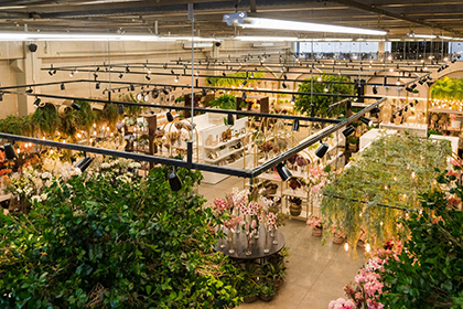 Showroom | Bela Flor